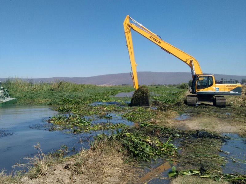 En Ocotlán continúa el retiro de lirio en el río Zula - Decisiones