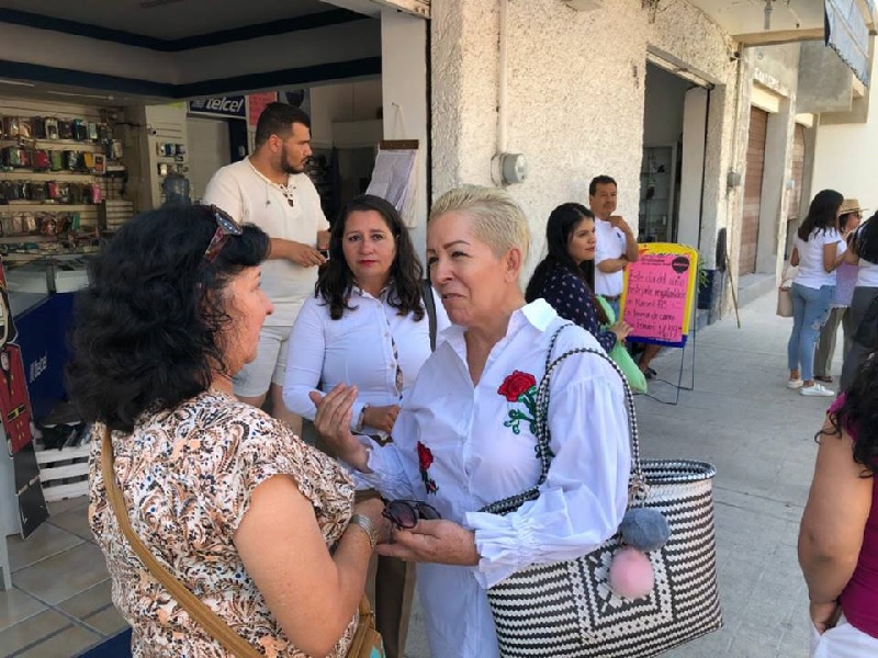 En el gobierno no deben existir privilegios ni salarios excesivos: Rosa ...