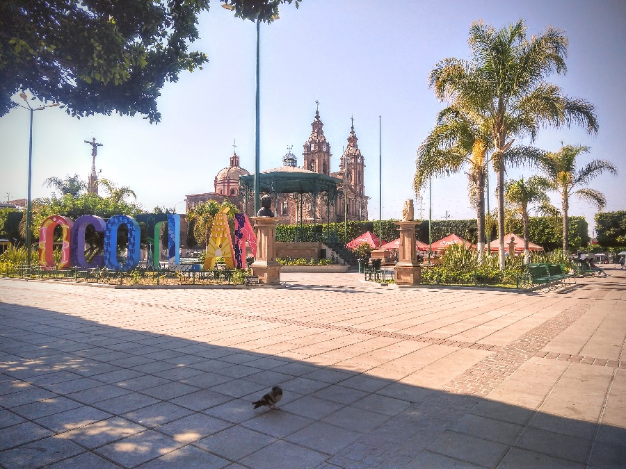 Los jóvenes de Ocotlán se encuentran en el olvido - Decisiones